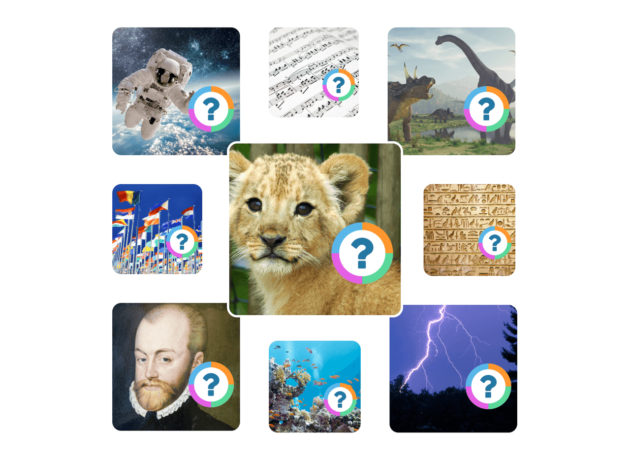 Classroom Quiz | Gynzy